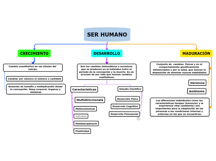 SER HUMANO - Mind Map